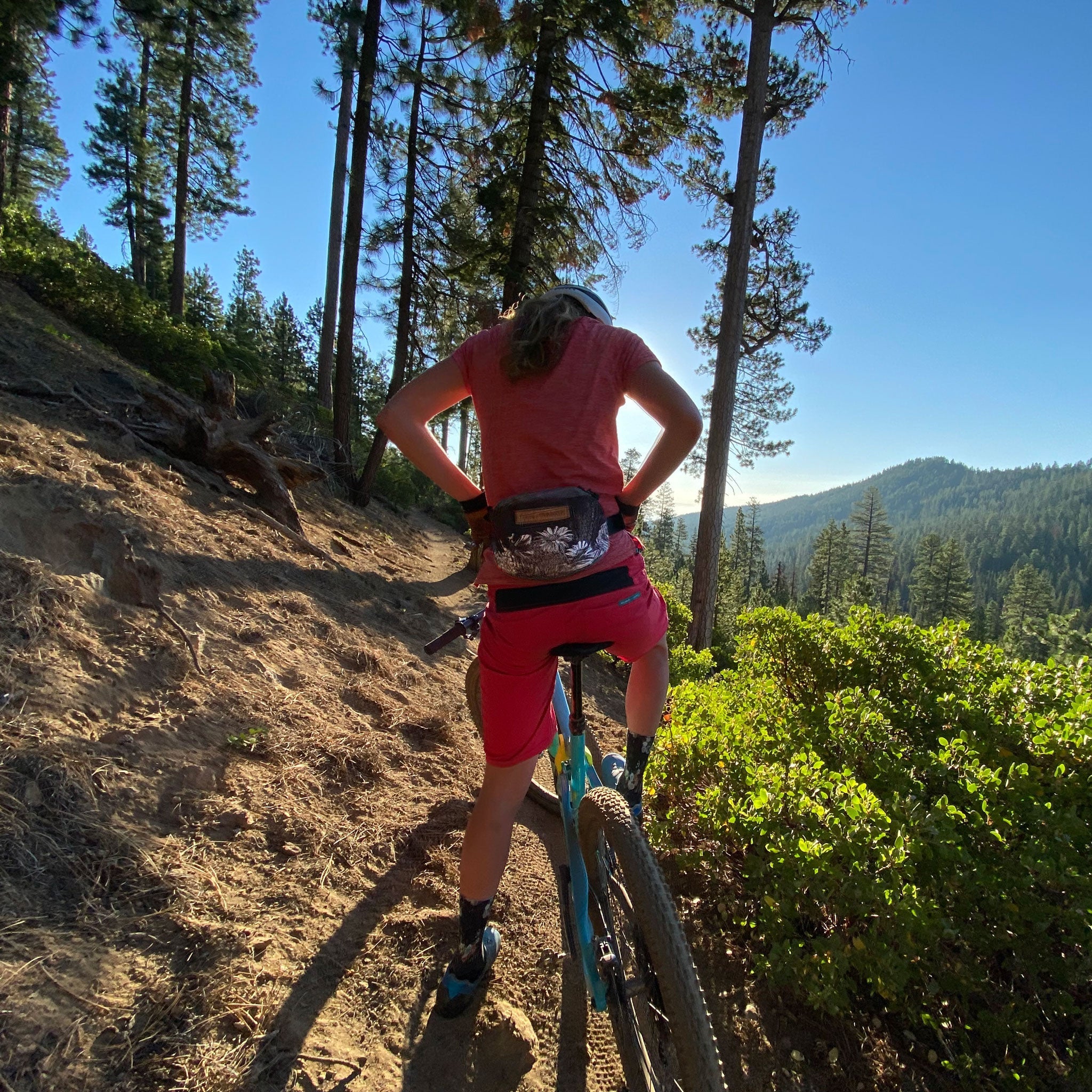 Free Range Canvas Phanny Pack | "Emerald Bay" by Bryn Merrell – Free ...